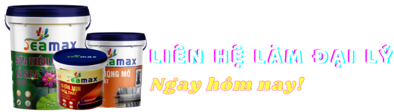 Giới thiệu SEAMAX – Seamax